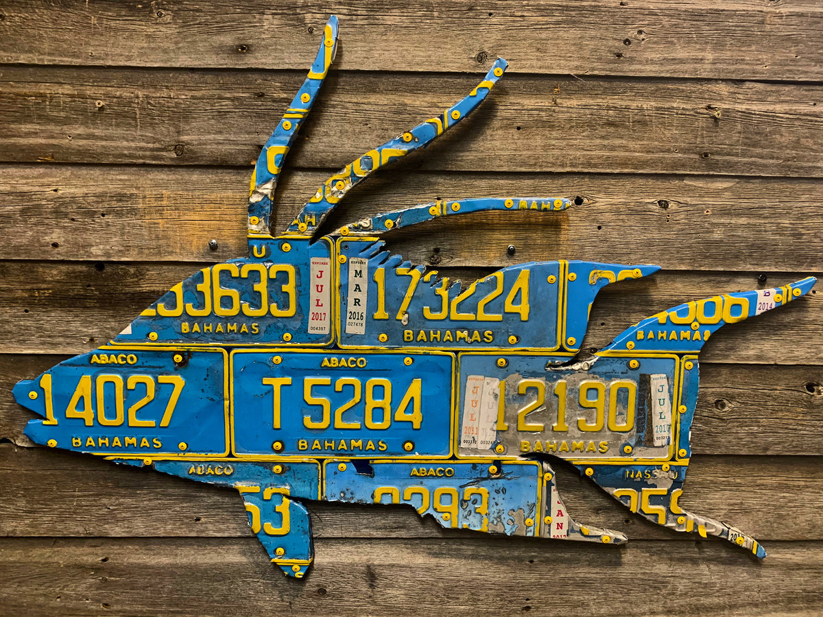 Hogfish License Plate Art– Cody's Fish