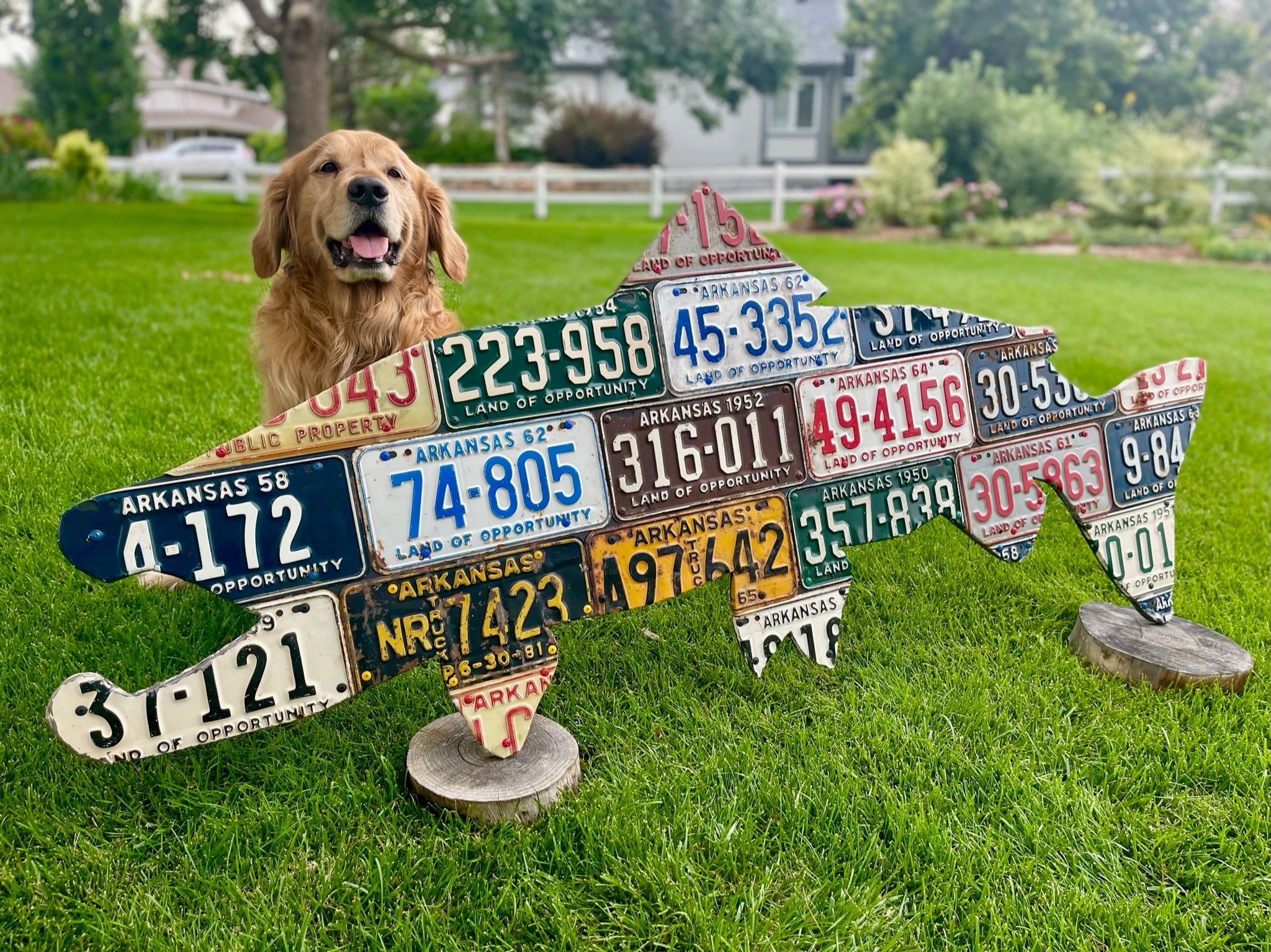 Cody's Fish - License Plate Artwork