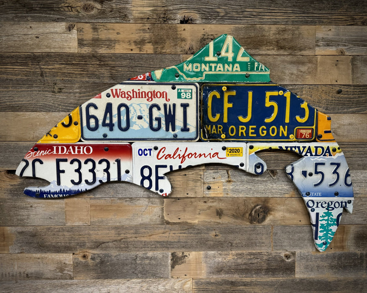 Mixed Pacific Northwest Trout License Plate Art– Cody's Fish