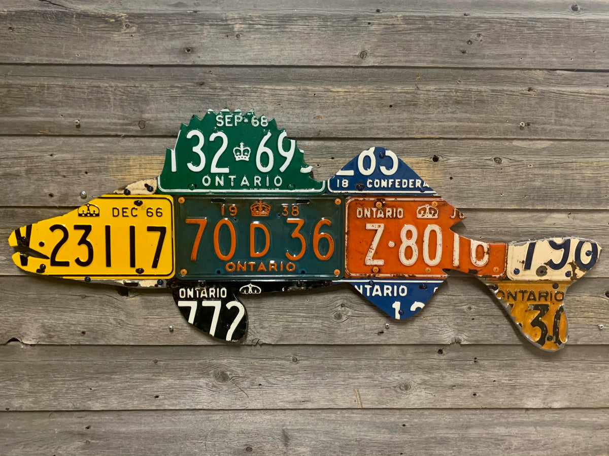 Ontario Walleye License Plate Art– Cody's Fish